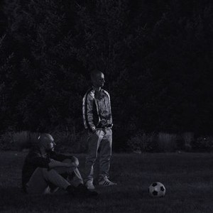 Digging - Rotten Tomatoes