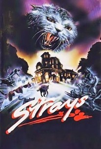 Strays | Rotten Tomatoes
