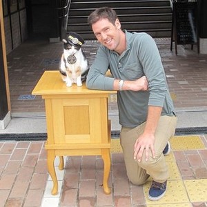 Must Love Cats - Rotten Tomatoes