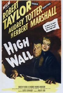 High Wall | Rotten Tomatoes