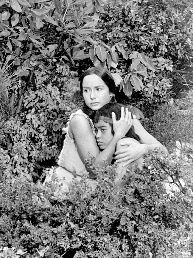 Island Of The Blue Dolphins Ulape