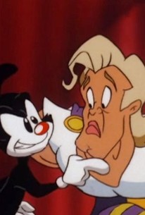Animaniacs: Season 5, Episode 52 | Rotten Tomatoes