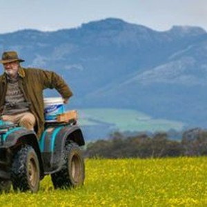 Rams - Rotten Tomatoes