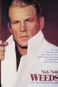 Weeds | Rotten Tomatoes