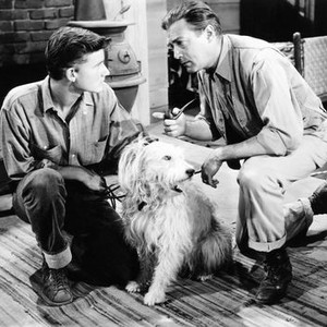 Edgar Barrier - Rotten Tomatoes