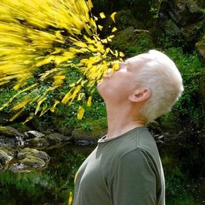 Rivers and Tides: Andy Goldsworthy Working with Time - Rotten Tomatoes