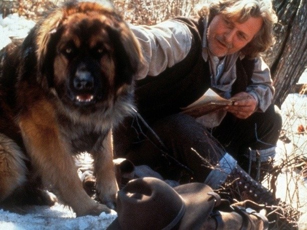 The Call Of The Wild Movie 1997