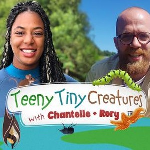 Teeny Tiny Creatures - Rotten Tomatoes