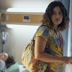 Florida Man - Rotten Tomatoes