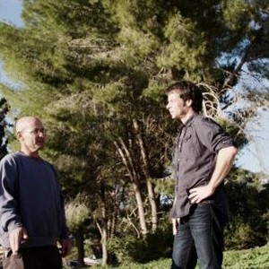 My Tree - Rotten Tomatoes