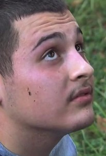 Cops Reloaded: Season 1, Episode 151 | Rotten Tomatoes