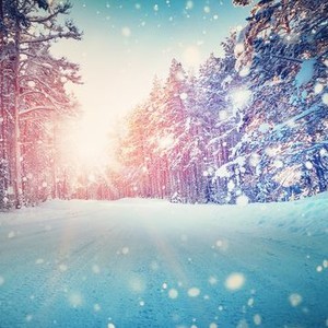 Lost Holiday: The Jim and Suzanne Shemwell Story - Rotten Tomatoes