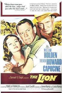 Lion | Rotten Tomatoes