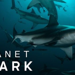 Planet Shark - Rotten Tomatoes