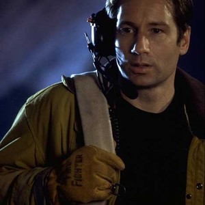 Evolution - Rotten Tomatoes