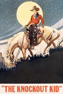 The Knockout | Reviews | Rotten Tomatoes