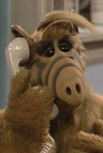 ALF: Season 3, Episode 9 - Rotten Tomatoes