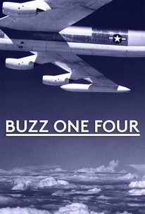 Buzz One Four | Rotten Tomatoes