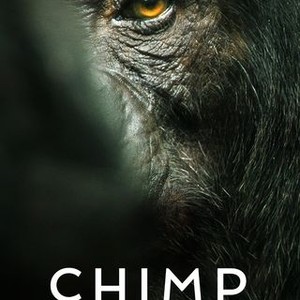Chimp Empire - Rotten Tomatoes