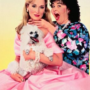 She-Devil - Rotten Tomatoes