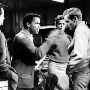 Susan Harrison - Rotten Tomatoes