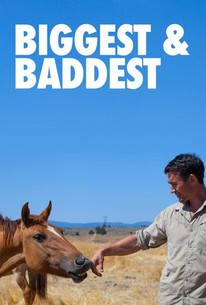 Biggest & Baddest | Rotten Tomatoes
