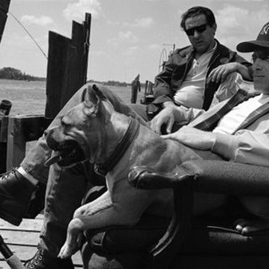 Joe Grifasi - Rotten Tomatoes