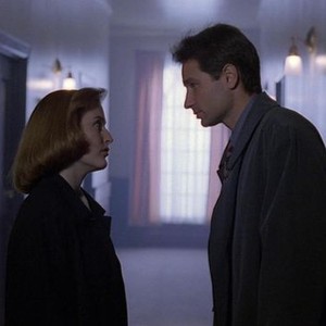 The X-Files: Season 2, Episode 23 - Rotten Tomatoes