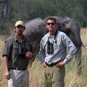 Safari Brothers - Rotten Tomatoes