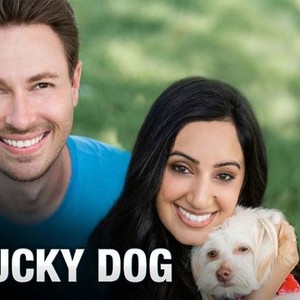 Lucky Dog - Rotten Tomatoes