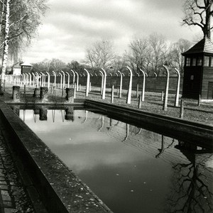 Swimming in Auschwitz - Rotten Tomatoes