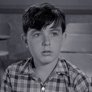 Leave It to Beaver: Season 4, Episode 39 - Rotten Tomatoes