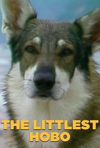 The Littlest Hobo: Season 2, Episode 15 - Rotten Tomatoes