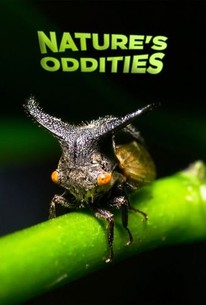 Nature's Oddities | Rotten Tomatoes