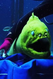 What Sam Sees: Season 1, Episode 1 | Rotten Tomatoes