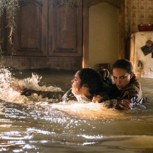 Annihilation - Rotten Tomatoes