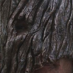 Plank Face - Rotten Tomatoes