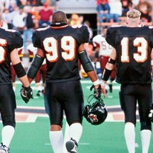 Go Tigers! - Rotten Tomatoes