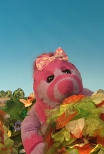 The Roly Mo Show: Season 1, Episode 84 | Rotten Tomatoes