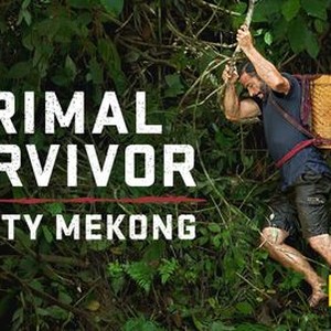 Primal Survivor: Mighty Mekong: Season 1, Episode 5 - Rotten Tomatoes