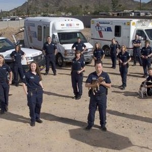 Animal Cops: Phoenix - Rotten Tomatoes