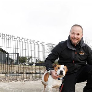 The Shelter: Animal SOS - Rotten Tomatoes