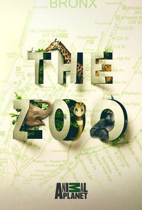 The Zoo: Season 1 | Rotten Tomatoes