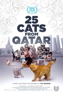 25 Cats from Qatar | Rotten Tomatoes