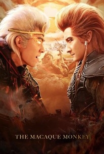 The Macaque Monkey | Rotten Tomatoes