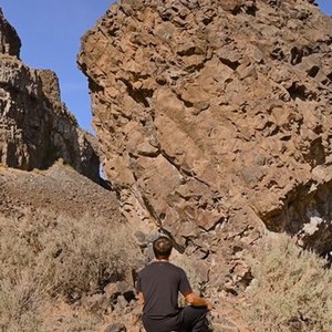 Interbay - Rotten Tomatoes