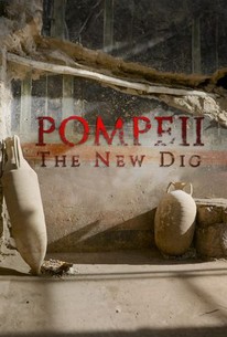 Pompeii: The New Dig | Rotten Tomatoes