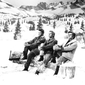 Tommy Rall - Rotten Tomatoes