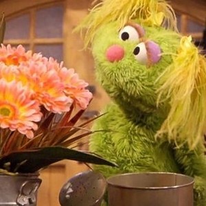 Sesame Street: Season 47, Episode 26 - Rotten Tomatoes