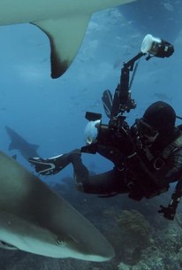 Tales by Light: Season 2, Episode 2 | Rotten Tomatoes